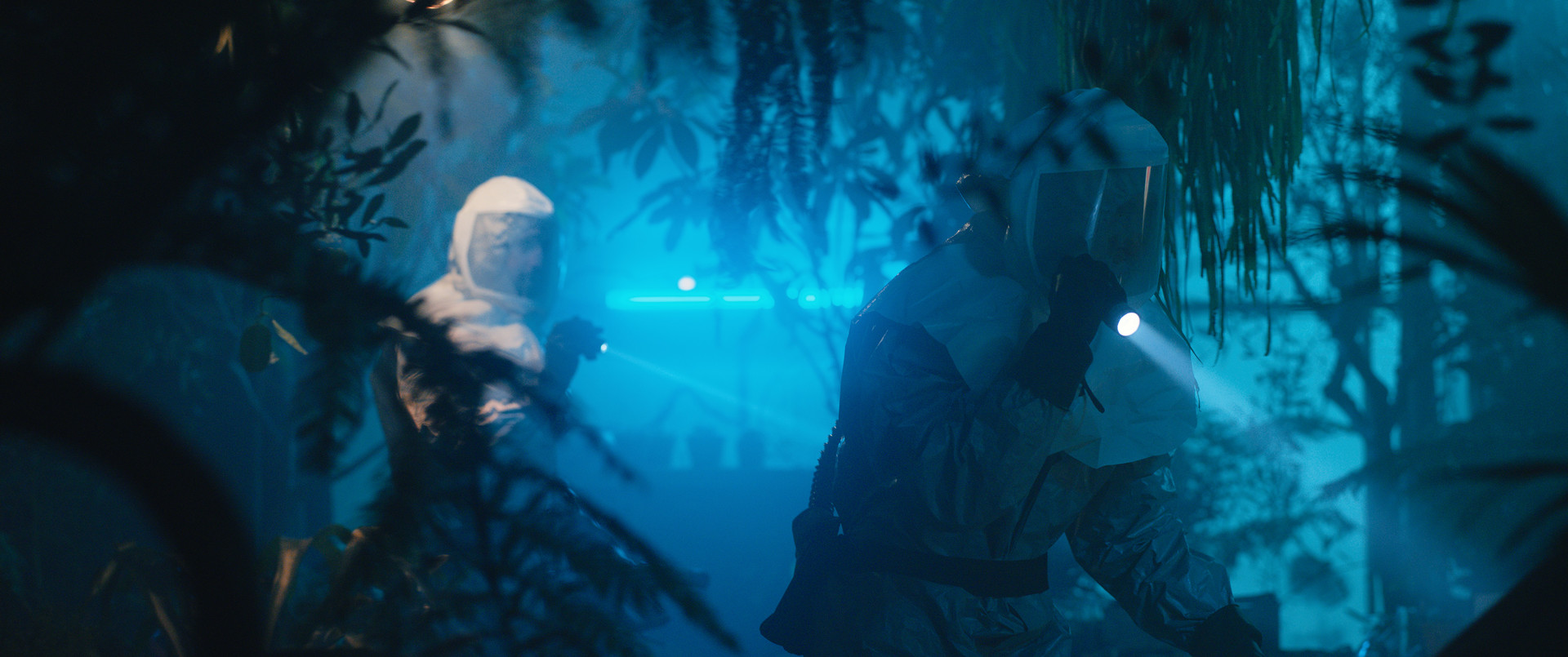 Earthy Encounters - FilmFreeway