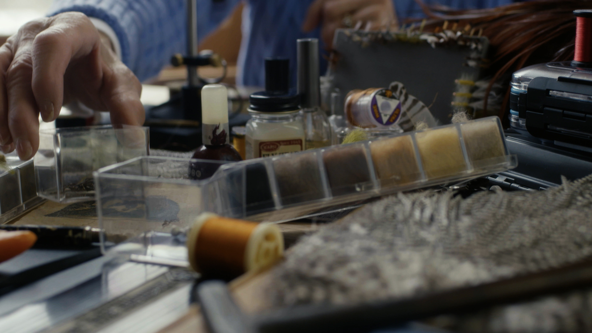 Curiosity - FilmFreeway