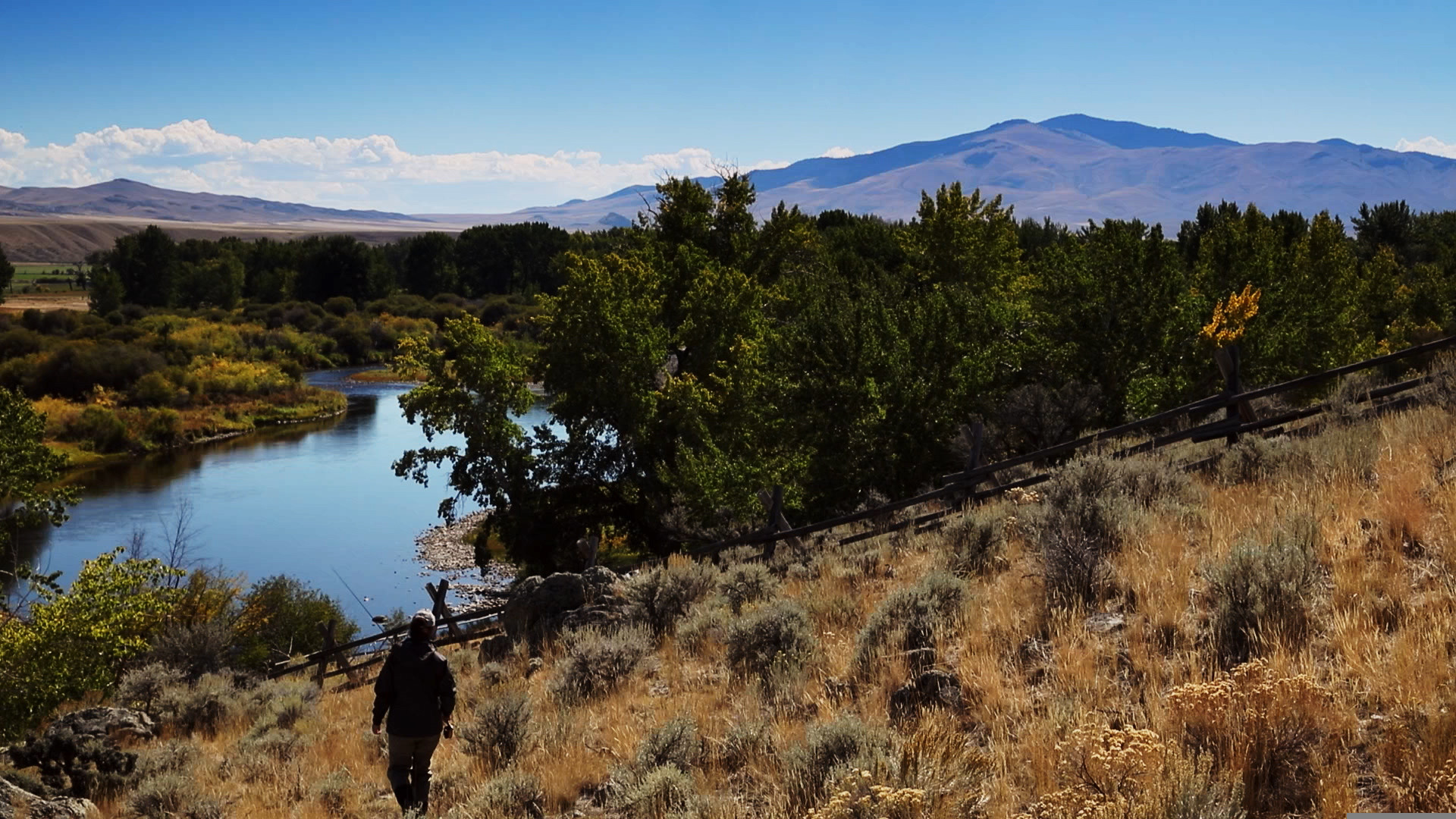 Curiosity - FilmFreeway