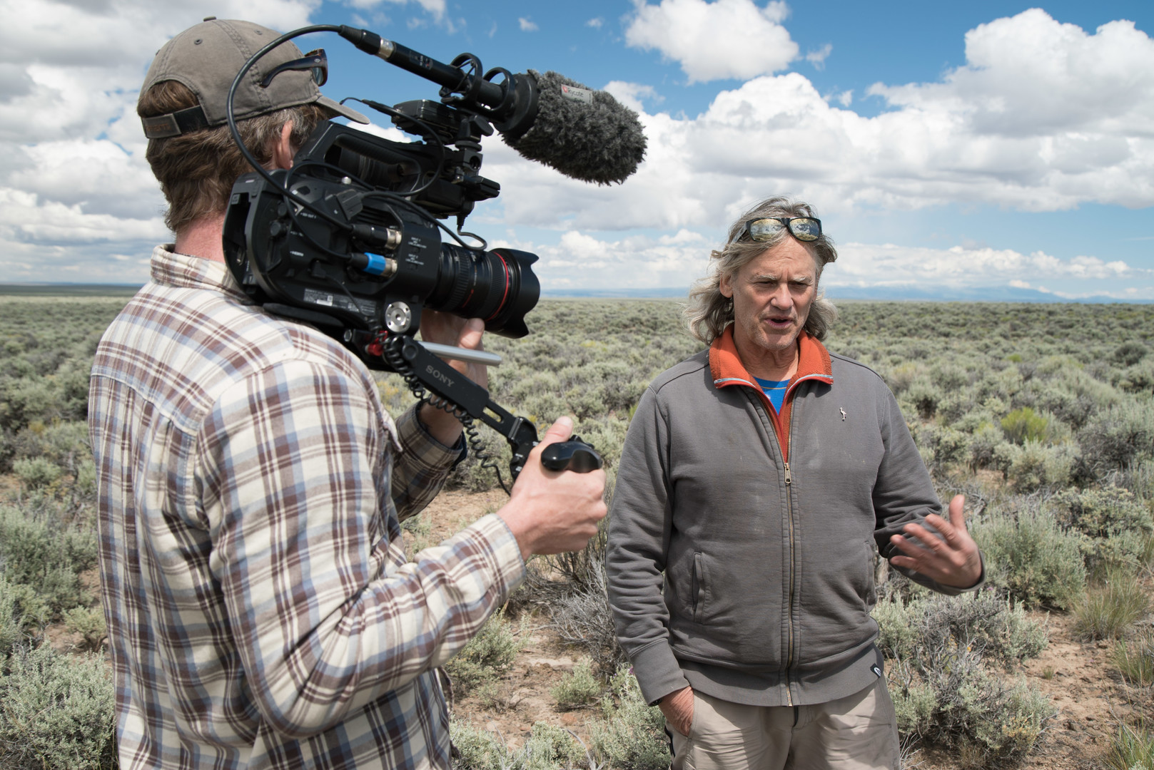 Rewilding a Mountain - FilmFreeway