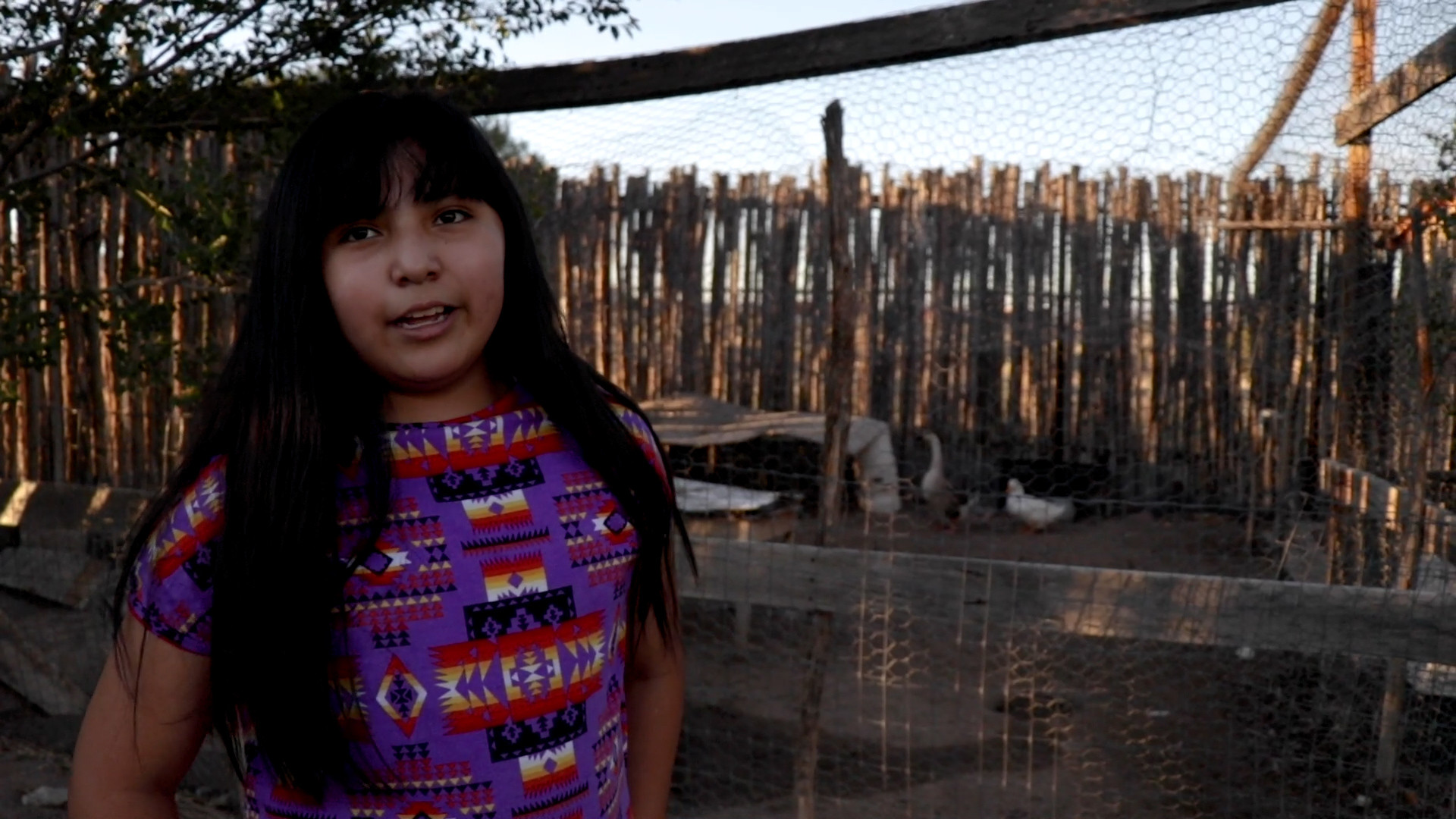 Photos of Native Lens - FilmFreeway