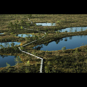 Child Machine - FilmFreeway