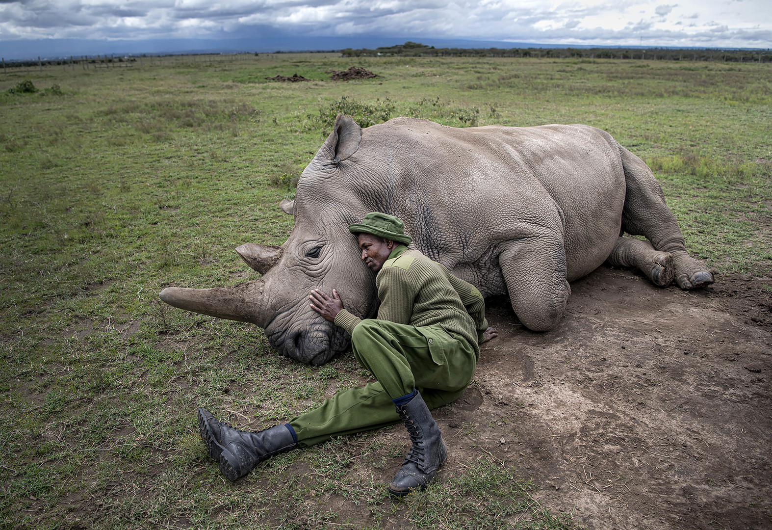 Remembering Sudan: The Last Male Northern White Rhino - FilmFreeway