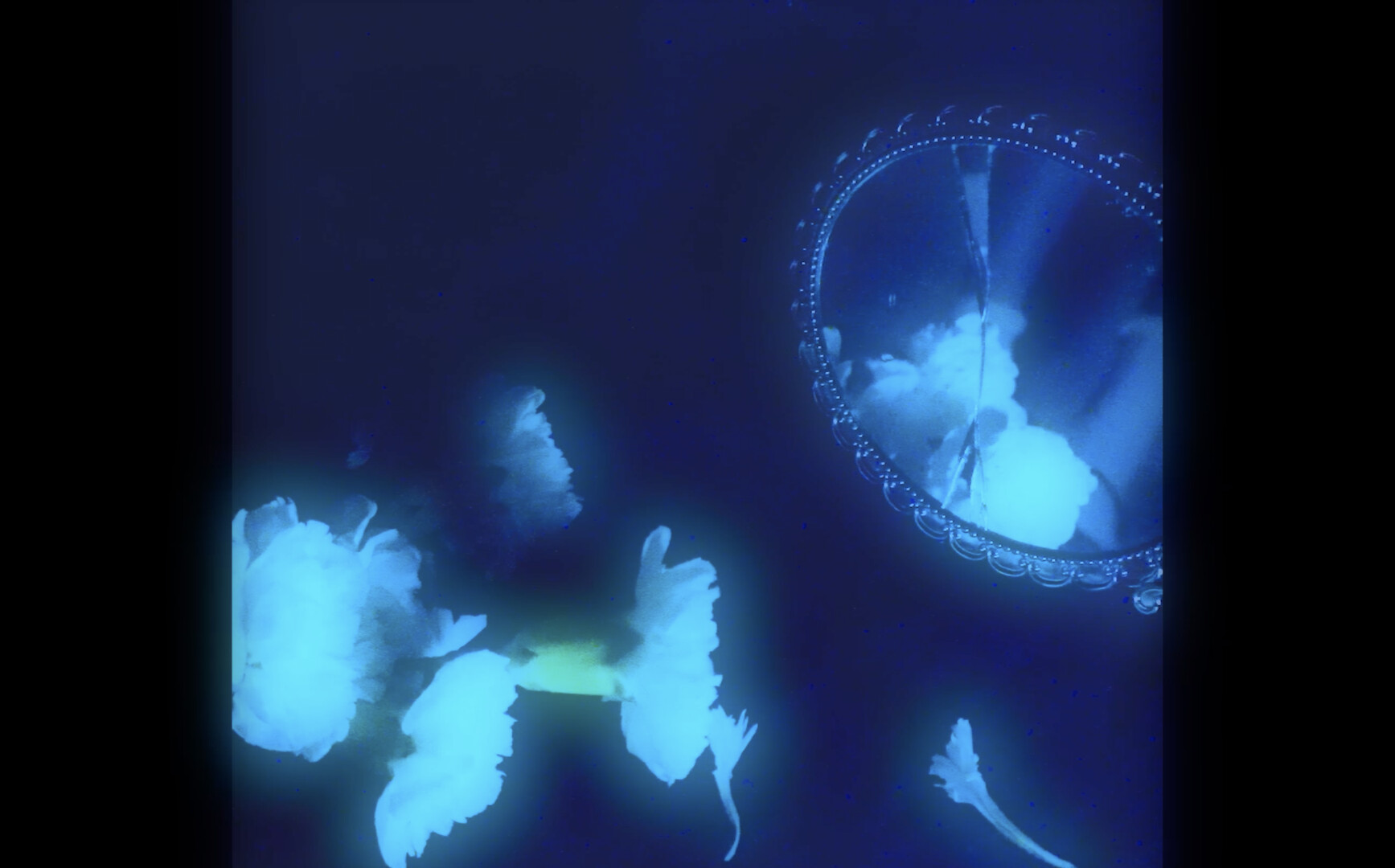 through-the-frame - FilmFreeway