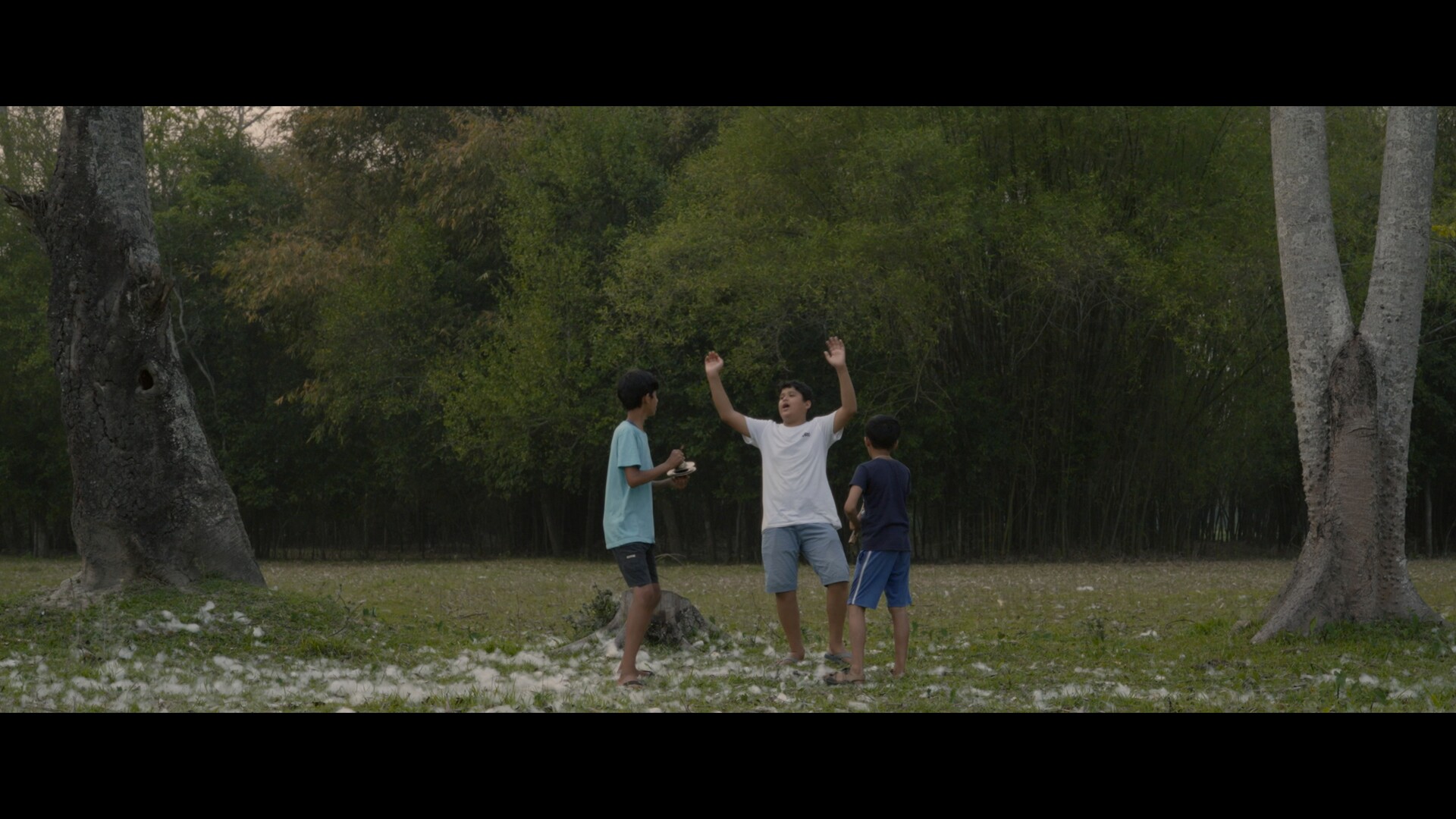 Songs of Spring - FilmFreeway