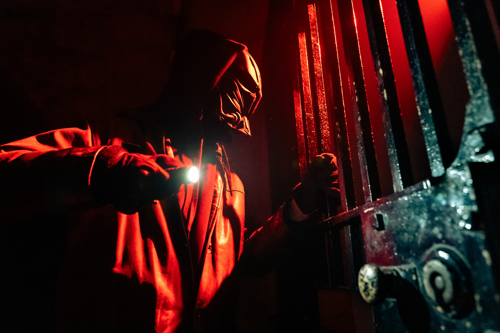 Film Purgatory | The Cellar (2024) - Review