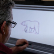 Snow Bear - FilmFreeway