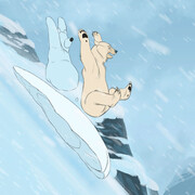 Snow Bear - FilmFreeway