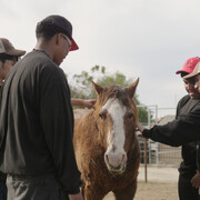 Rescued Hearts Film - FilmFreeway