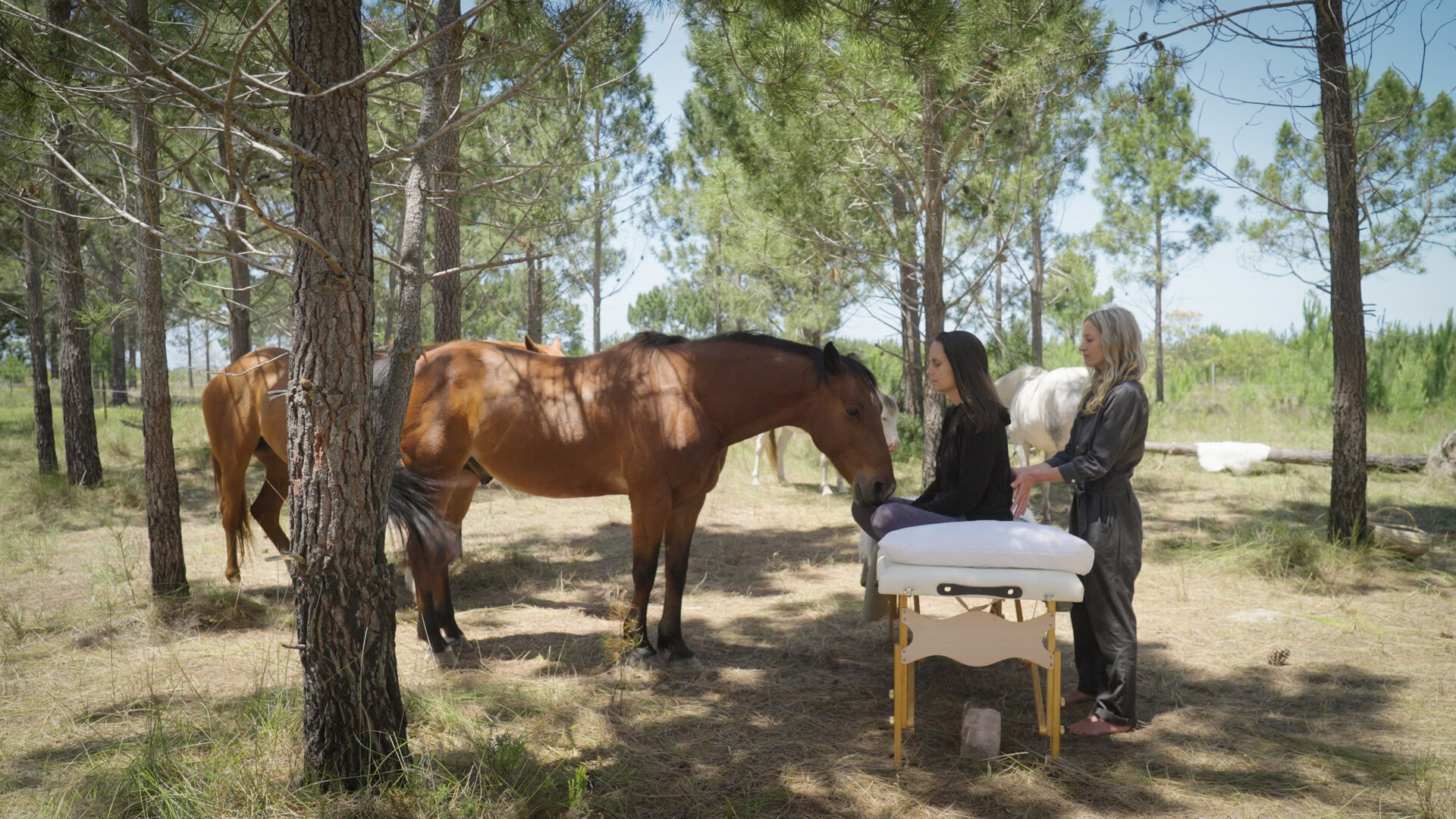 Rescued Hearts Film - FilmFreeway