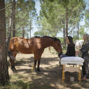 Rescued Hearts Film - FilmFreeway