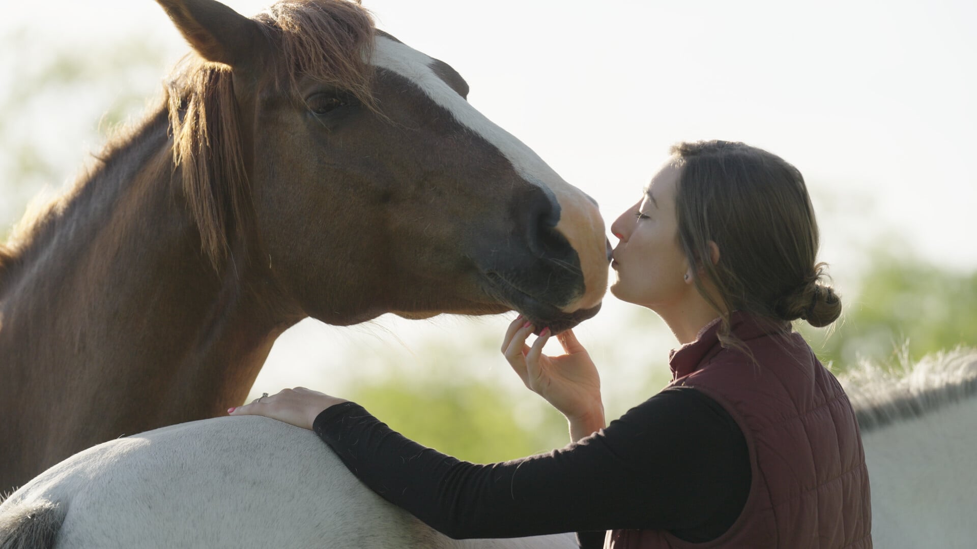 Rescued Hearts Film - FilmFreeway