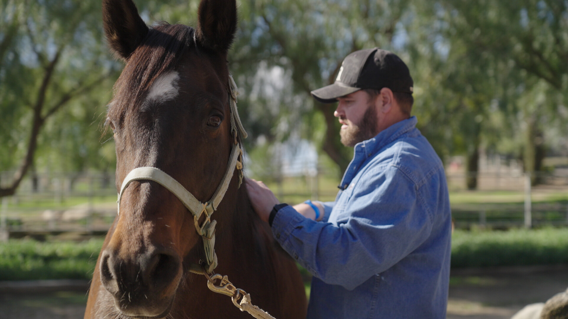 Rescued Hearts Film - FilmFreeway