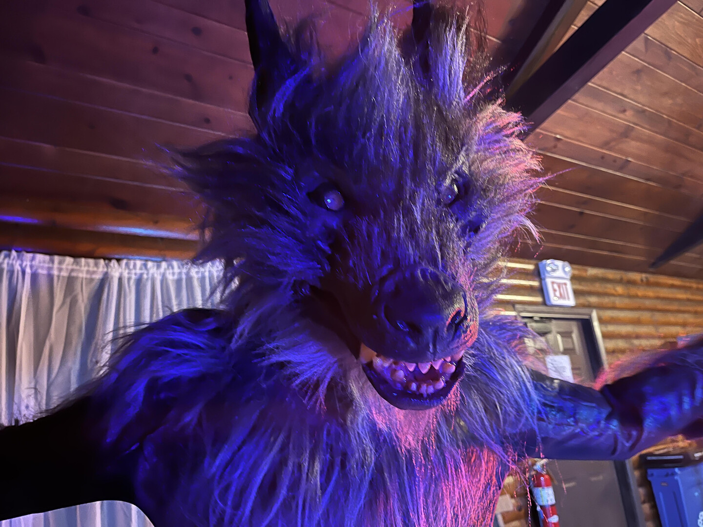 Frenzy Moon - FilmFreeway