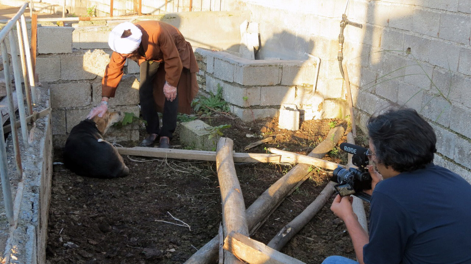 The Neighbours - FilmFreeway