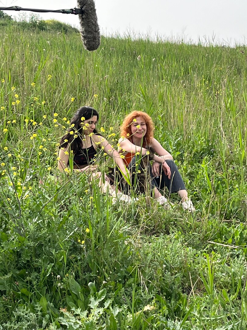 A Swallow's Journey - FilmFreeway