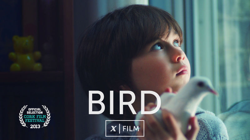 Bird - FilmFreeway