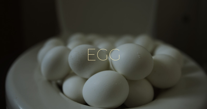 Egg - FilmFreeway