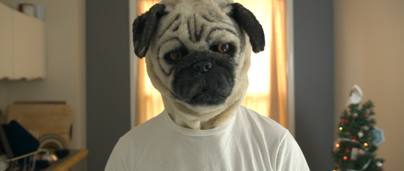 A Pug & Wolf Christmas - FilmFreeway