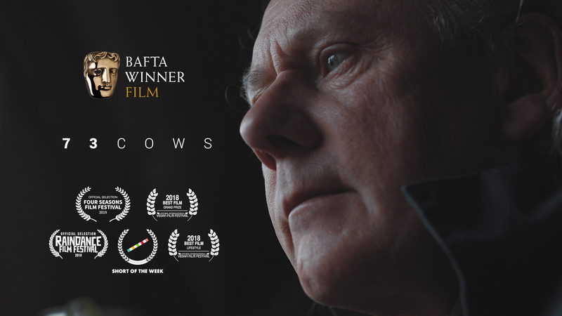 73 Cows - FilmFreeway