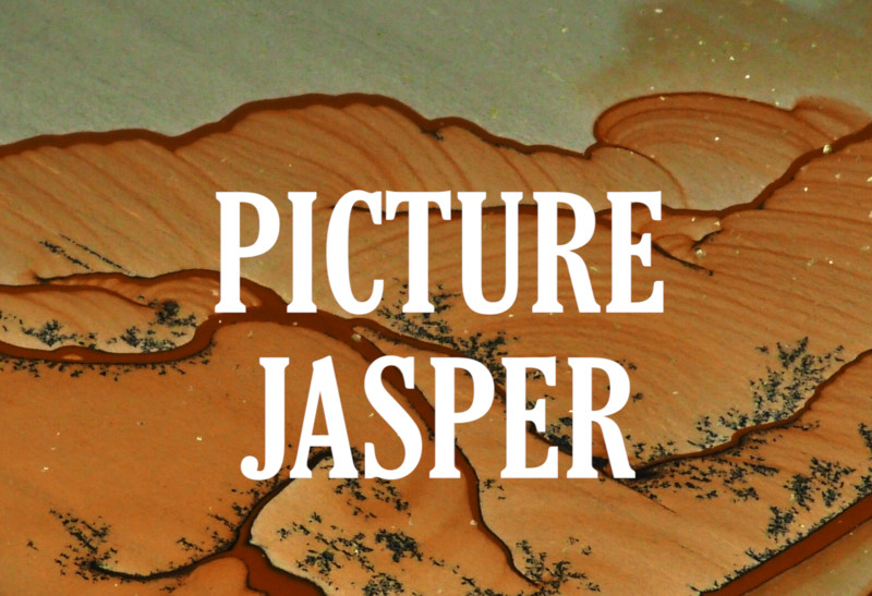 Picture Jasper - FilmFreeway