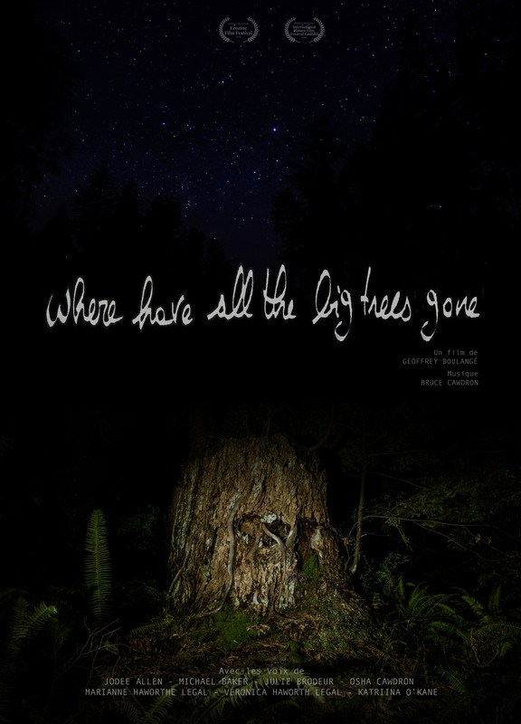 Where Have All The Big Trees Gone - FilmFreeway