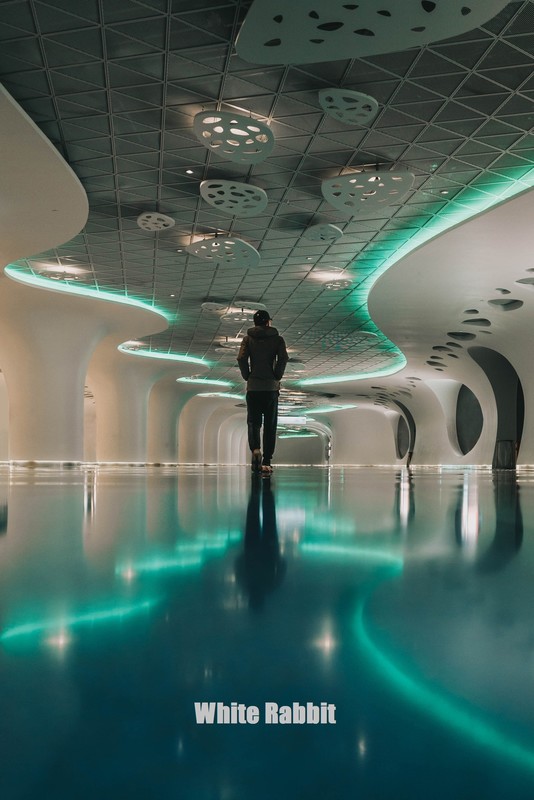 WHITE RABBIT - FilmFreeway