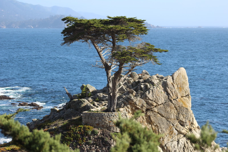 Serendipity - FilmFreeway