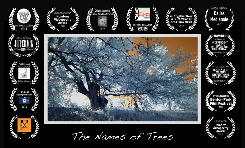 The Names of Trees (with English subtitles) - FilmFreeway