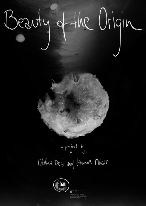 The Beauty of the Origin - FilmFreeway