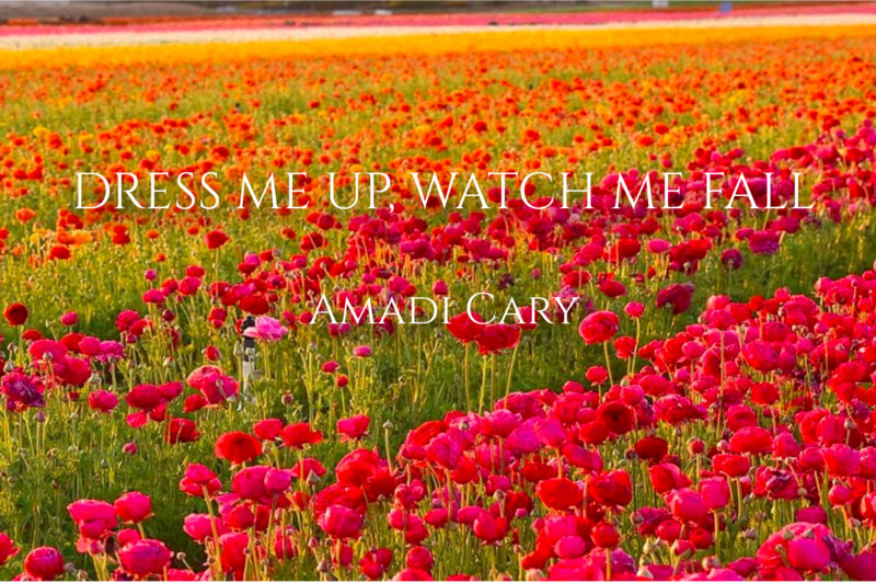 Dress Me Up, Watch Me Fall - FilmFreeway