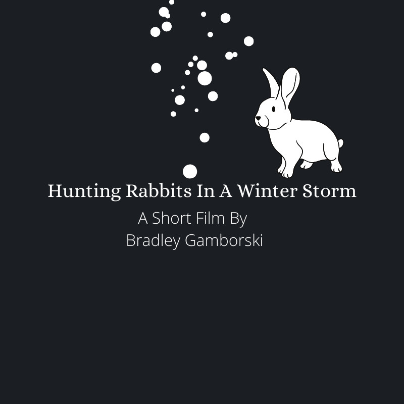 Hunting Rabbits In A Winter Storm - FilmFreeway