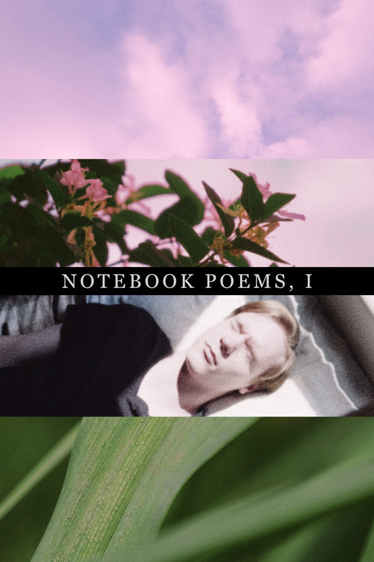 Notebook Poems, Vol. 1 - FilmFreeway