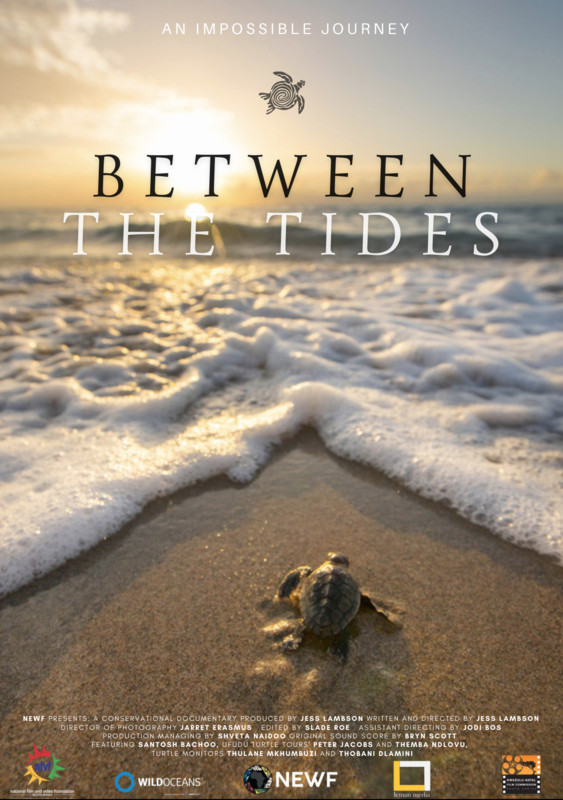 Between the Tides - FilmFreeway