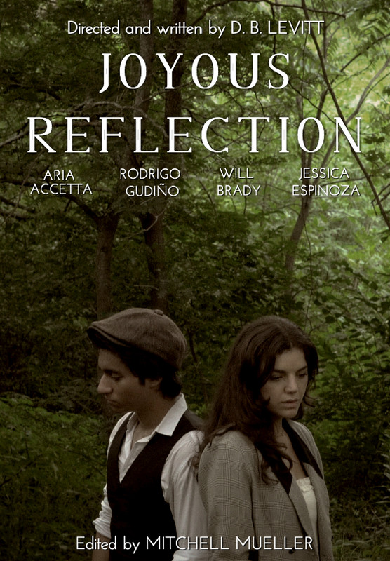 Joyous Reflection - FilmFreeway