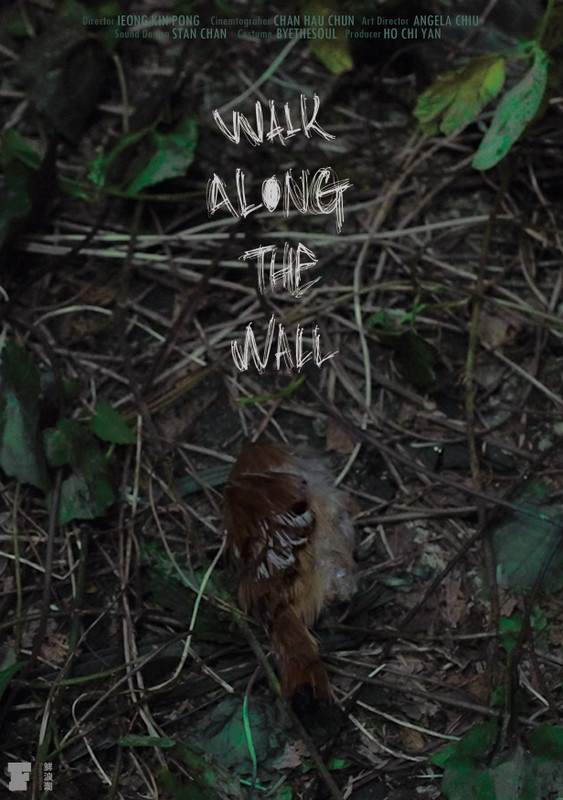Walk along the wall - FilmFreeway
