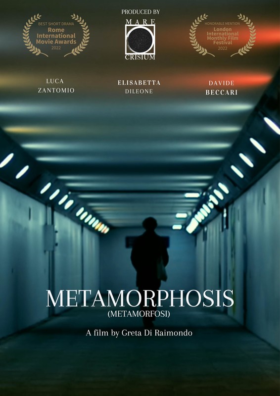 Metamorphosis (English version) - FilmFreeway