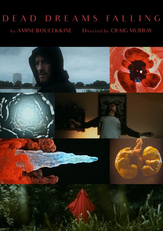 DEAD DREAMS FALLING - FilmFreeway
