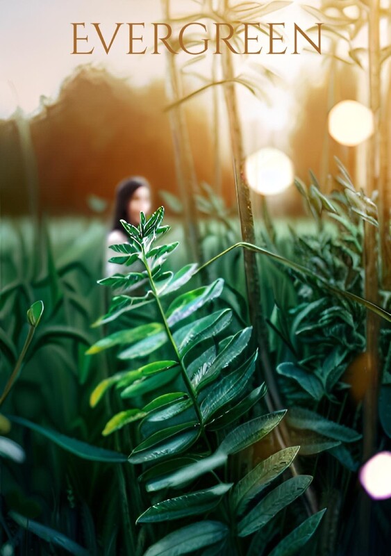 Evergreen - FilmFreeway