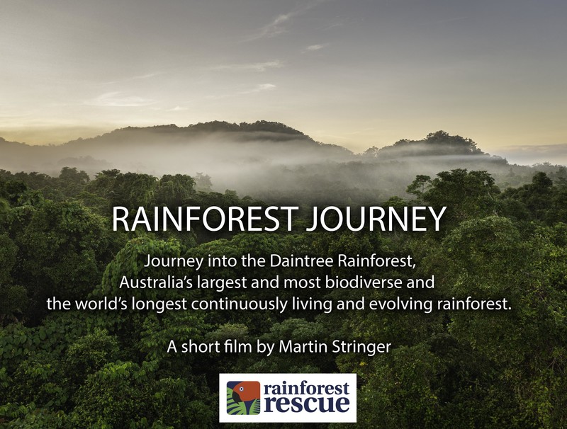 Rainforest Journey - FilmFreeway