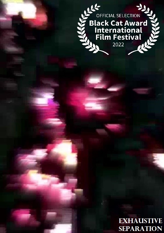 Exhaustive Separation - FilmFreeway