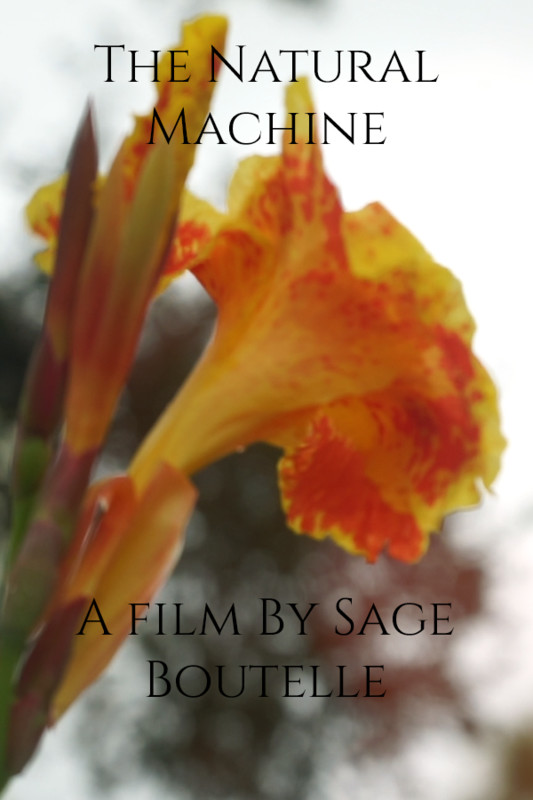 The Natural Machine - FilmFreeway