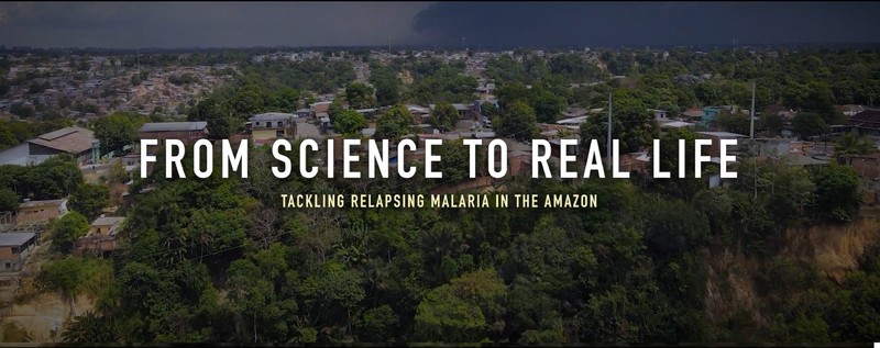 From science to real life: Tackling relapsing malaria in the Amazon ...