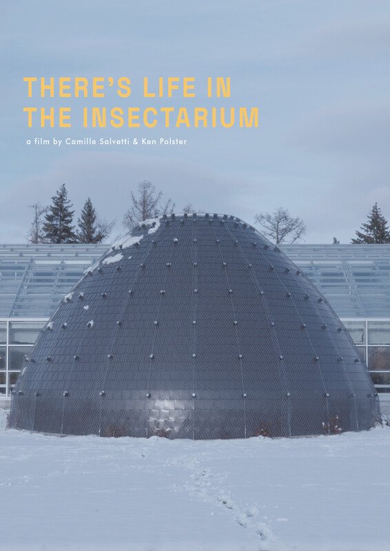 There's life in the Insectarium - FilmFreeway