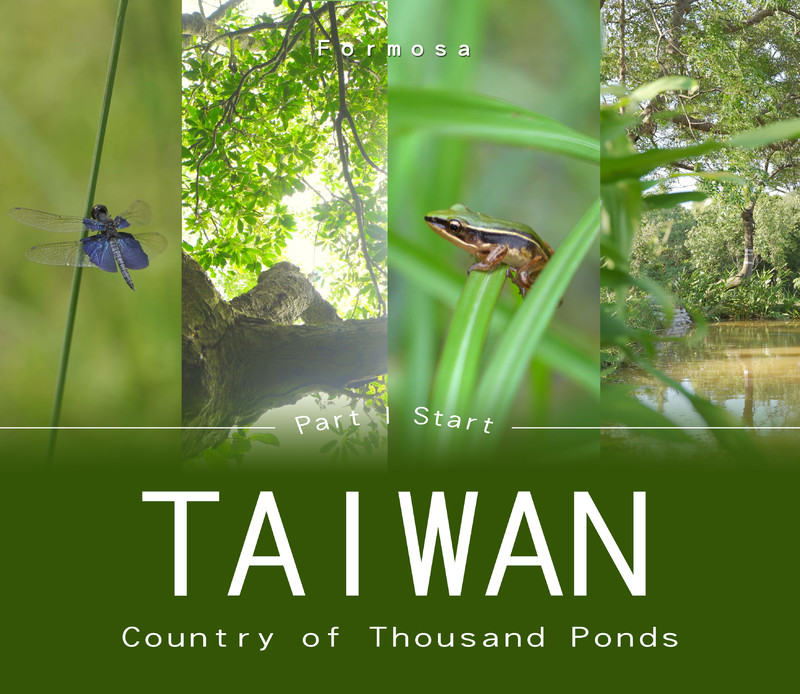 Country of Thousand Ponds – Part I Start - FilmFreeway