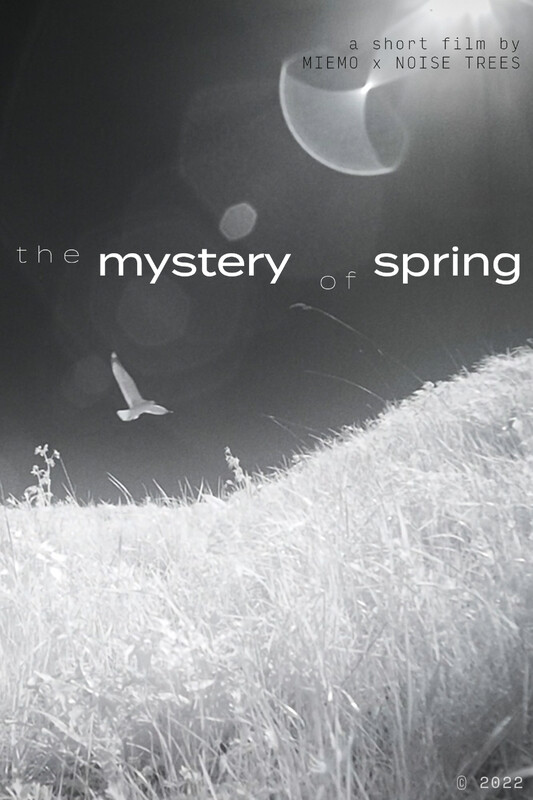The Mystery of Spring - FilmFreeway
