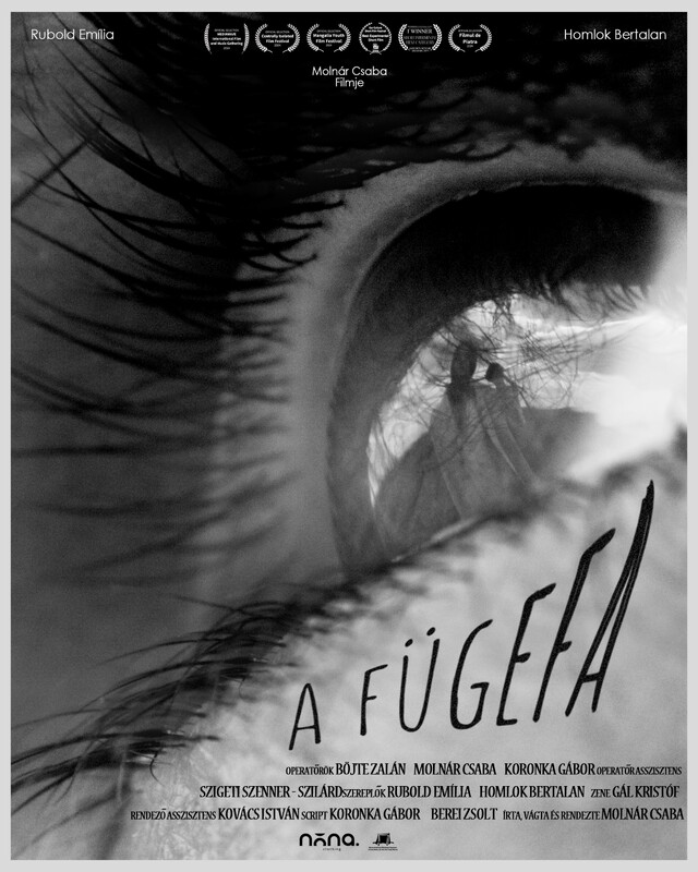 The Fig Tree - FilmFreeway