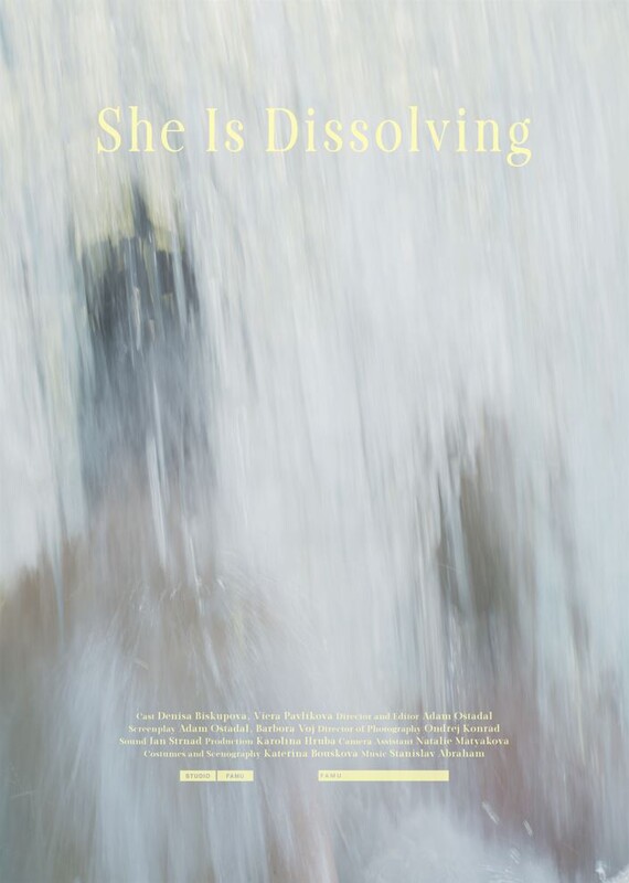 She Is Dissolving - FilmFreeway