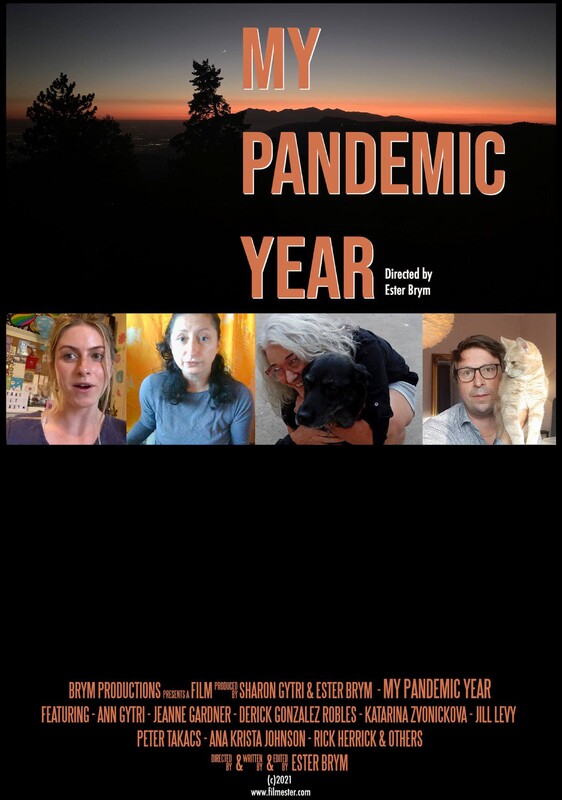 My Pandemic Year - FilmFreeway