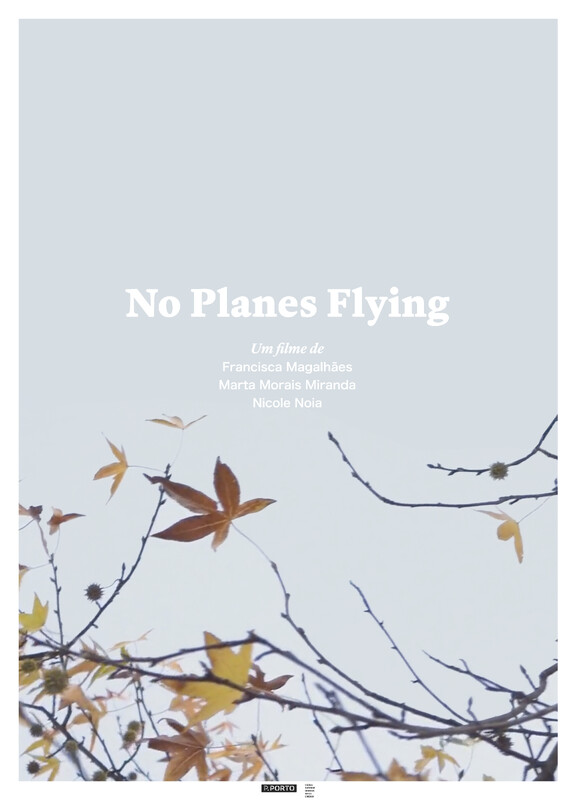No Planes Flying - FilmFreeway